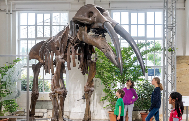 Fossiliensturm und Forscherdrang - liesLotte Familienmagazin Augsburg